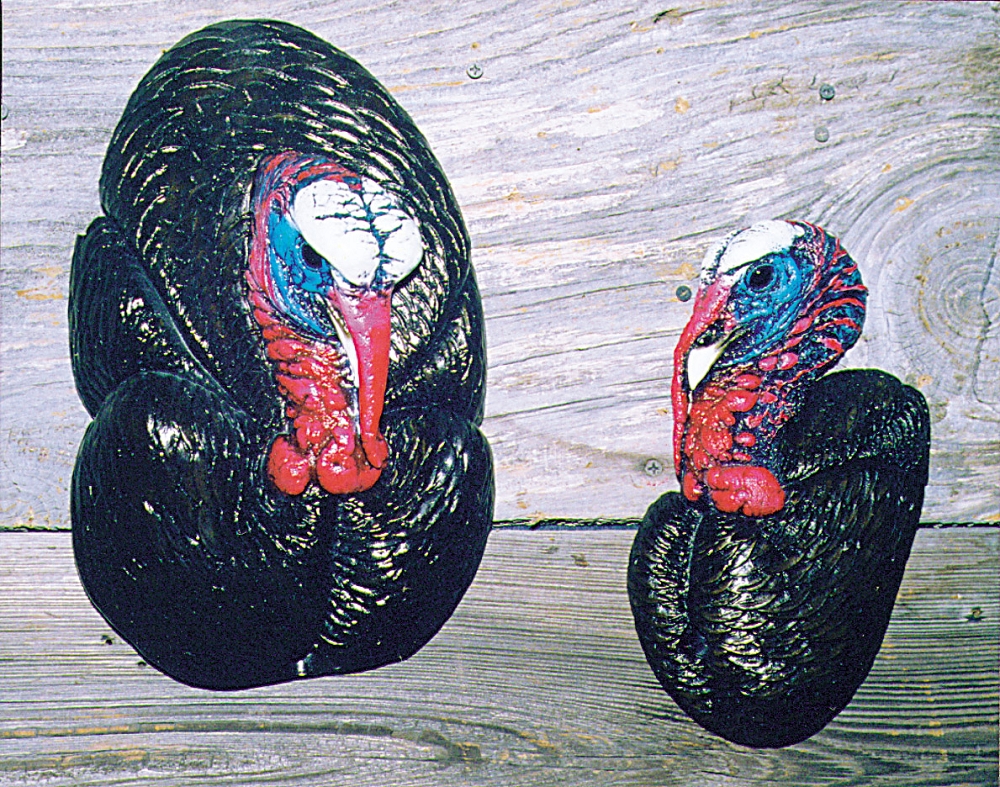 Turkey Taxidermy Forms and Heads at Foster Taxidermy Supply | Taxidermy ...